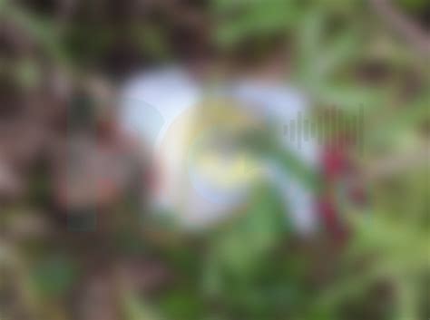 Homem é encontrado morto a tiros e amarrado em Rio das Ostras RC24H