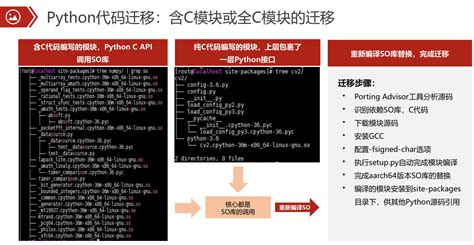 乘上腾飞的翅膀华为鲲鹏生态入门指南 语言 开发 InfoQ精选文章