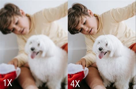 Ai Image Upscaler Free To Upscale And Enhance Images Photos Cartoons