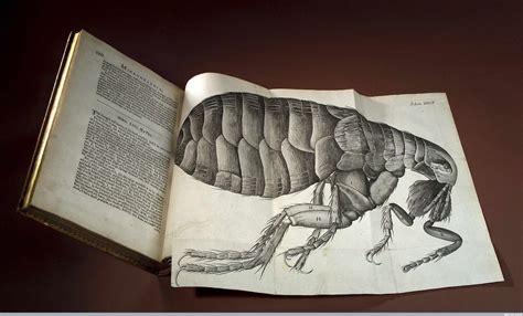 Micrographia Definition