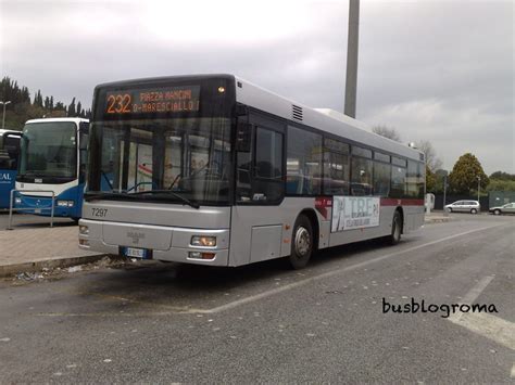 7201 7356 Man Nl263 Photo Transport Italia