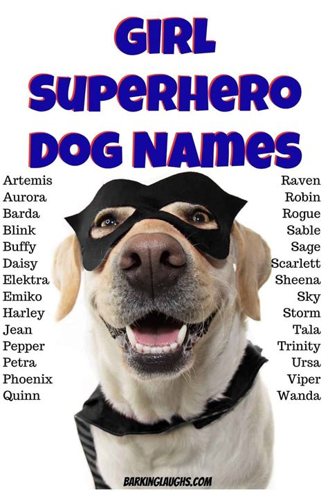 Female Dog Names And Meanings Artofit