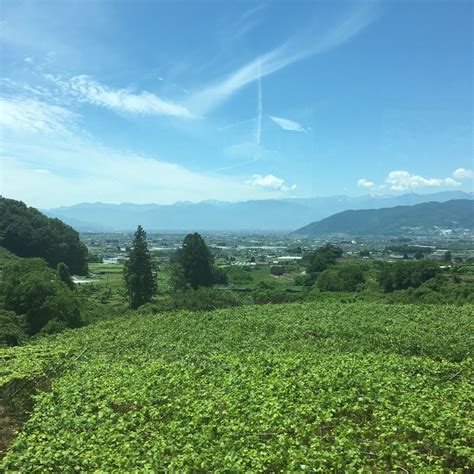 Yシャツと私めい 👑ミスヘブン2022本選👑東京ソープ部門入賞 On Twitter Rt Cabin0552371818 🥵春日も戌
