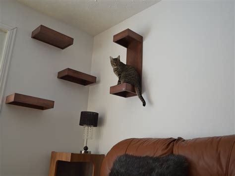 Cat Wall Shelf Cat Wall Perch Package Of Three By Huve
