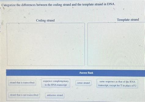 Solved Categorize The Differences Between The Coding Strand