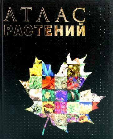 Книга: "Атлас растений". Купить книгу, читать рецензии | ISBN ...
