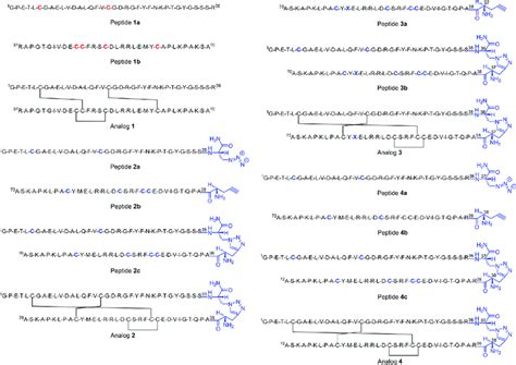 Primary Structures Of Peptide Precursors And Analogs Synthesized In