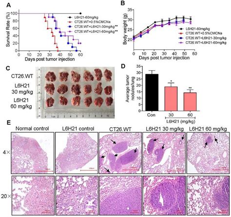 Selective Targeting Of The Tlr4 Co Receptor Md2 Prevents Colon Cancer