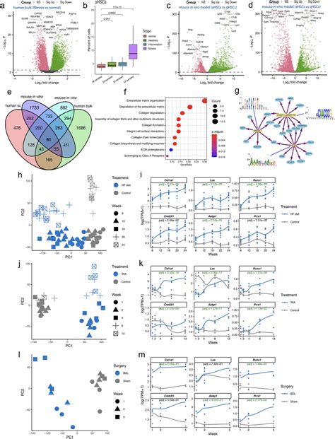 Meta Analysis Of Existing Rna Sequencing Data Sets For Nash And Liver Download High