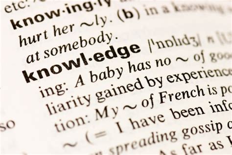 Social Media Glossary Social Media Terms Explained McLellan Marketing Group