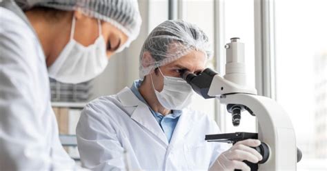 Research On Infertility Which Definition Should We Use Isfrh
