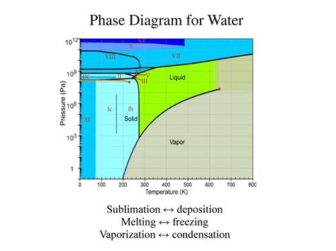 Phase Diagram Of Water Exatin Info