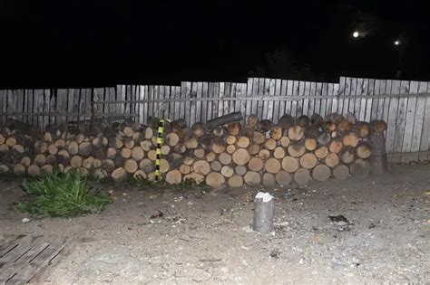 Perchezitii In Judetul Bacau La Taietorii De Lemne Doi Barbati Au Fost