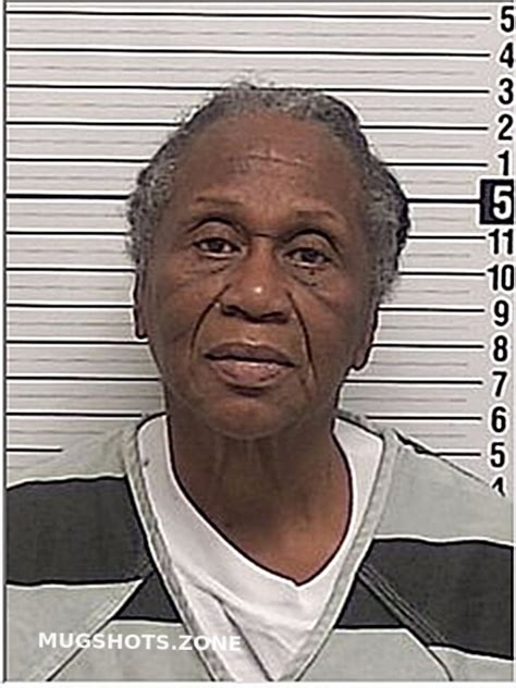 Mcclain Joann 07 04 2024 Bay County Mugshots Zone