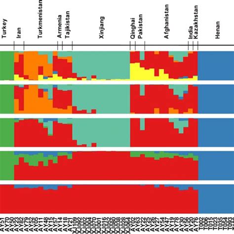 Population Structure Of 67 Ae Tauschii And 2 Common Wheat Accessions