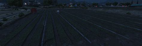 Suggestion Picking Selling Fruit Issue Inzidiuz Op