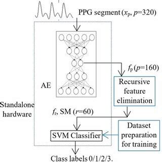 Signal Processing Flow Diagram Download Scientific Diagram