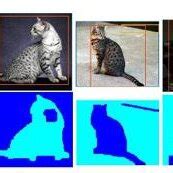 Oxford IIIT Pet Dataset Samples Download Scientific Diagram