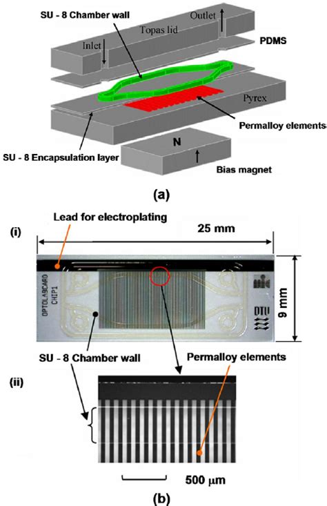Magnetically Functional Microfluidic System A Exploded View Of The Download Scientific