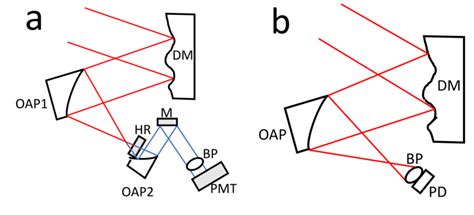 1 A Diagram Of The Experimental Setup For The 800 Nm Beam Dm