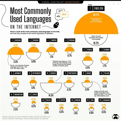 20 Most Commonly Used Languages Of The Web Infographic