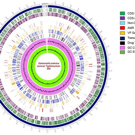 A Circular Graphical Illustration Depicting The Genome Annotations