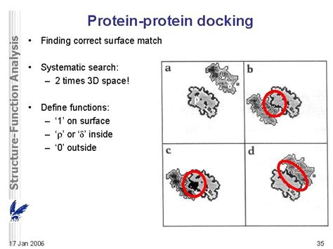 Structurefunction Analysis Dnaprotein Structurefunction Analysis And