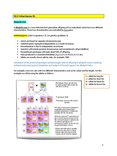 102 Dihybrid Crosses Hl Pdf Genetic Linkage Genotype
