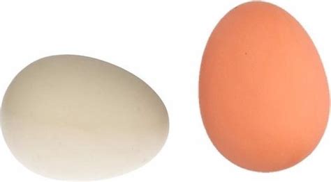 Stuiterende Nep Eieren 5 Stuks