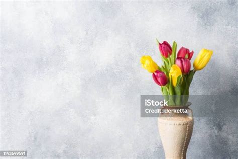 회색 배경에 꽃병에 노란색과 분홍색 튤립의 꽃다발 제품 및 텍스트의 공간을 복사 합니다 0명에 대한 스톡 사진 및 기타 이미지 0명 꽃 나무 꽃 식물 Istock