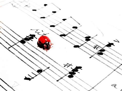 Wrong Note Music Quotes Notes Helpful