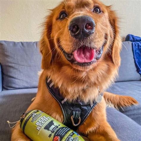Redbarn Pet Products Review Must Read This Before Buying