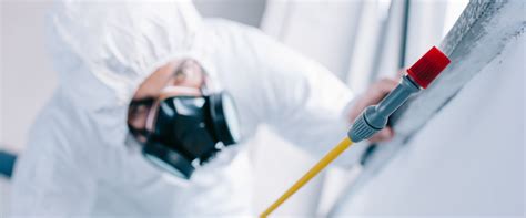 Who Regulates Pest Control Companies