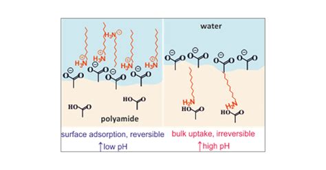 Elucidating The Effect Of Aliphatic Molecular Plugs On Ion Rejecting