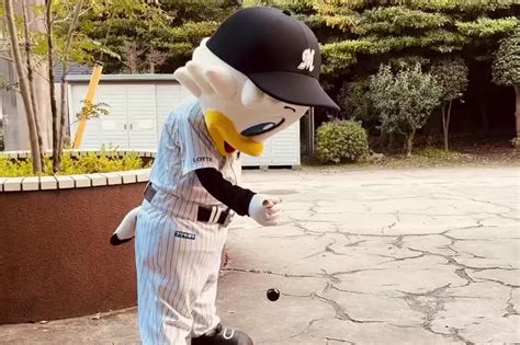マナパルコ on Twitter RT chibalotte mar マーですボクも準備中 chibalotte