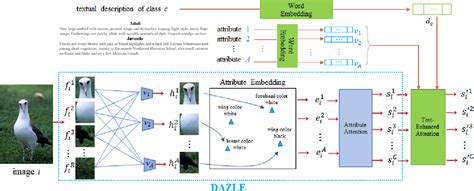 Figure 1 From Text Enhanced Attribute Based Attention For Generalized Zero Shot Fine Grained