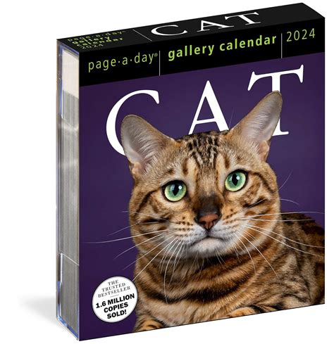 Cat Page A Day Gallery Calendar 2024 By Calendars Workman