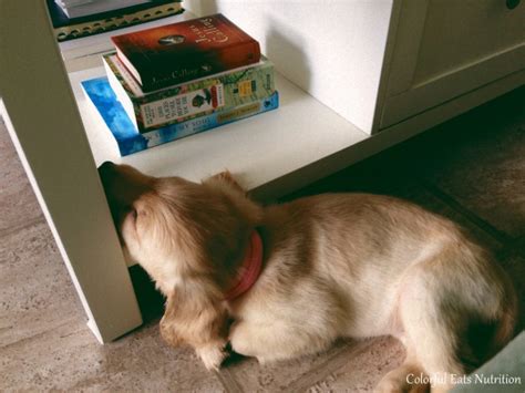 Meet Libby Potter And A Yummy Ice Cold Treat Colorful Eats