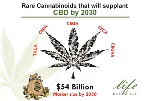 Exploring The Cannabinoid Acids Life Research