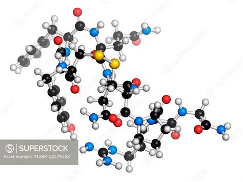 Desmopressin Peptide Synthetic Replacement Of Vasopressin Hormone