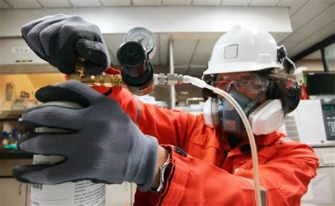 Bump Testing Gas Detector 6 Important Questions