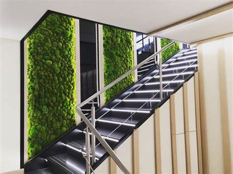 Купить фито панели из стабилизированного мха по низкой цене в Nature Walls