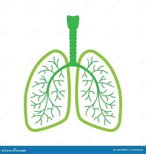 Icono Verde De Los Pulmones Humanos Ilustración del Vector Ilustración de carrocería aire