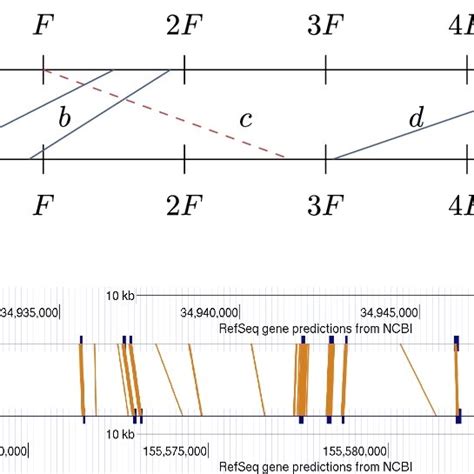 Geometric Hashing A Idea Of Geometric Hashing Seeds A B And D Map Download Scientific