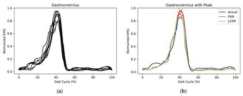 Sensors Free Full Text Estimation Of Lower Extremity Muscle Activity In Gait Using The