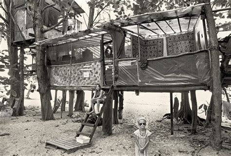Taylor Camp 1969 Hippie Tree House Village In Hawaii Nsfw Sociedelic