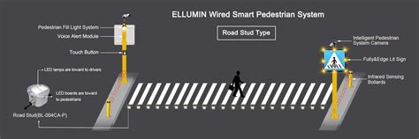 Non Light Control Area Intelligent Pedestrian System（urban Type） Ellumin