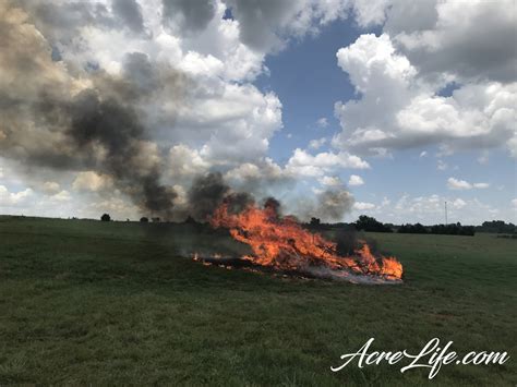 Burning Cedar Branches Acre Life