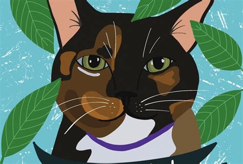 Izzy And Bella Skillshare Student Project