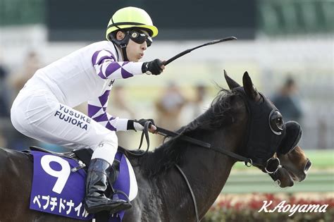 フェブラリーステークス2024優勝馬ペプチドナイル 競馬情報ハミ受け良好